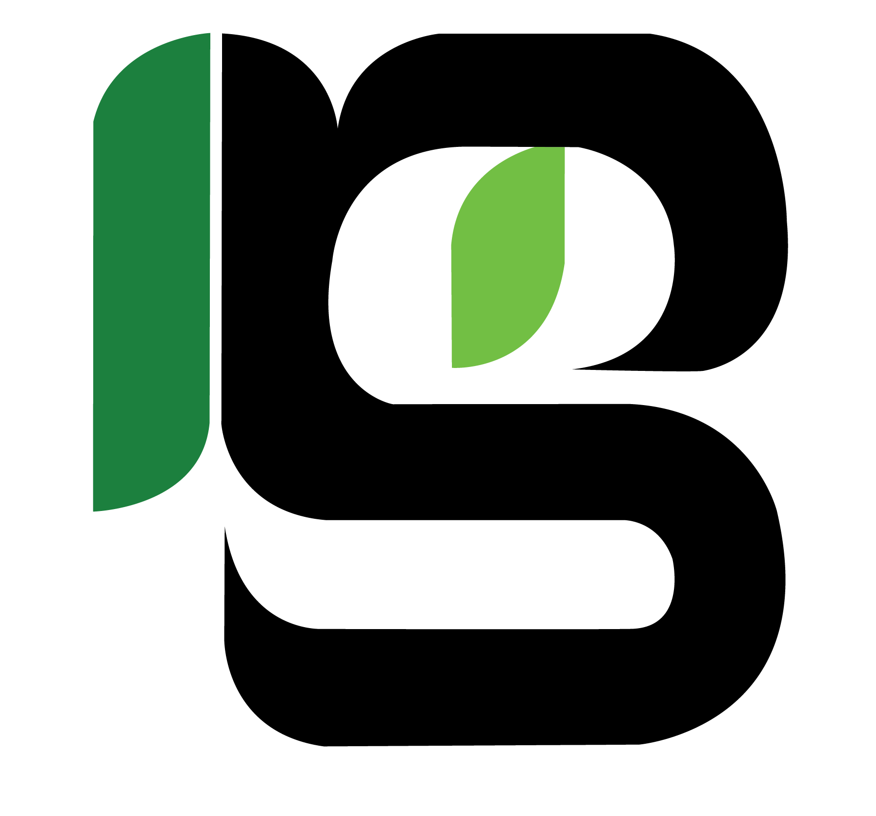 MAKESHIFT LTD – Makeshift Skateboards